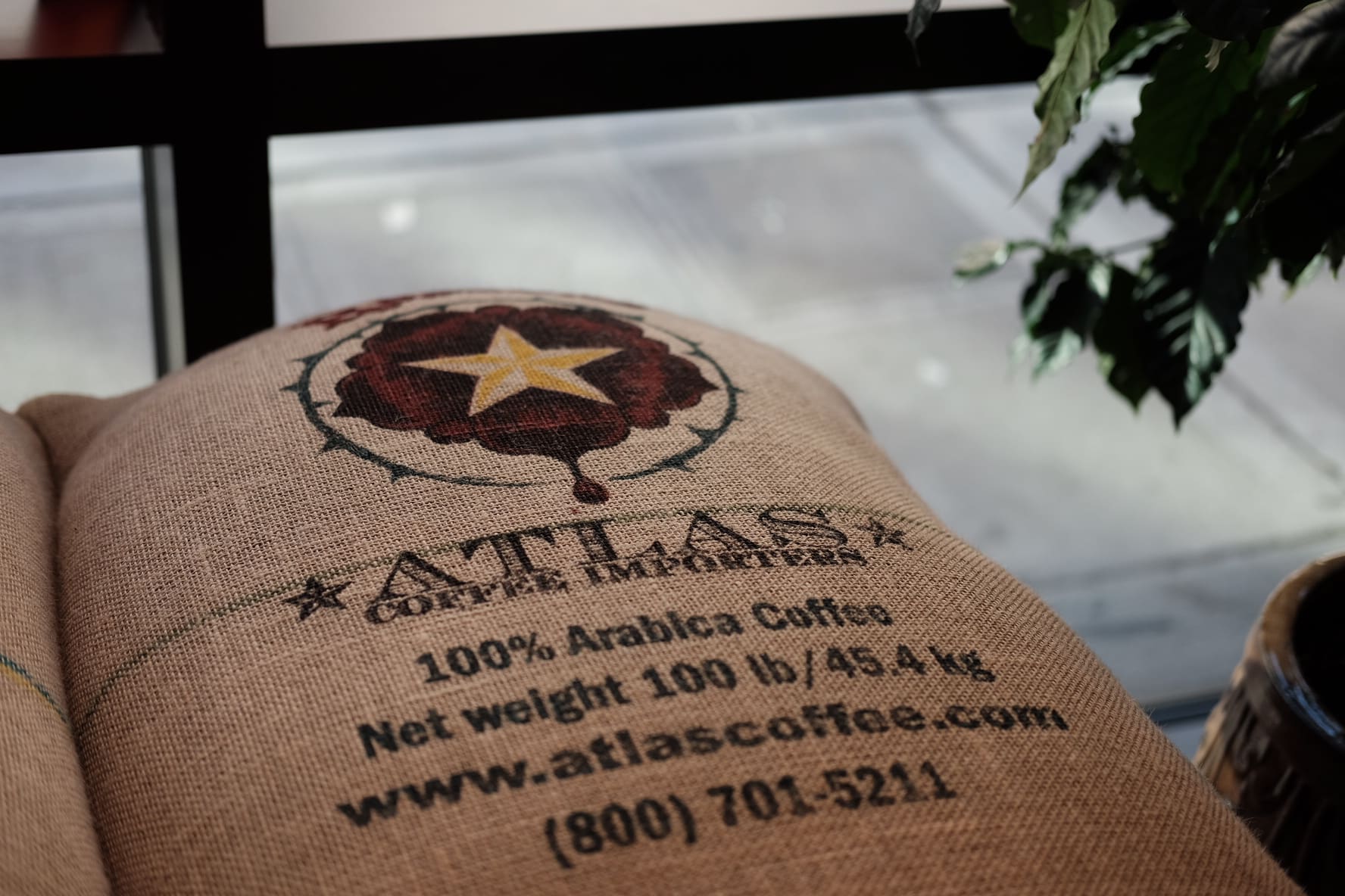 La Marzocco Cafe Residency Week 1 - Long-Distance Relationships - Atlas ...