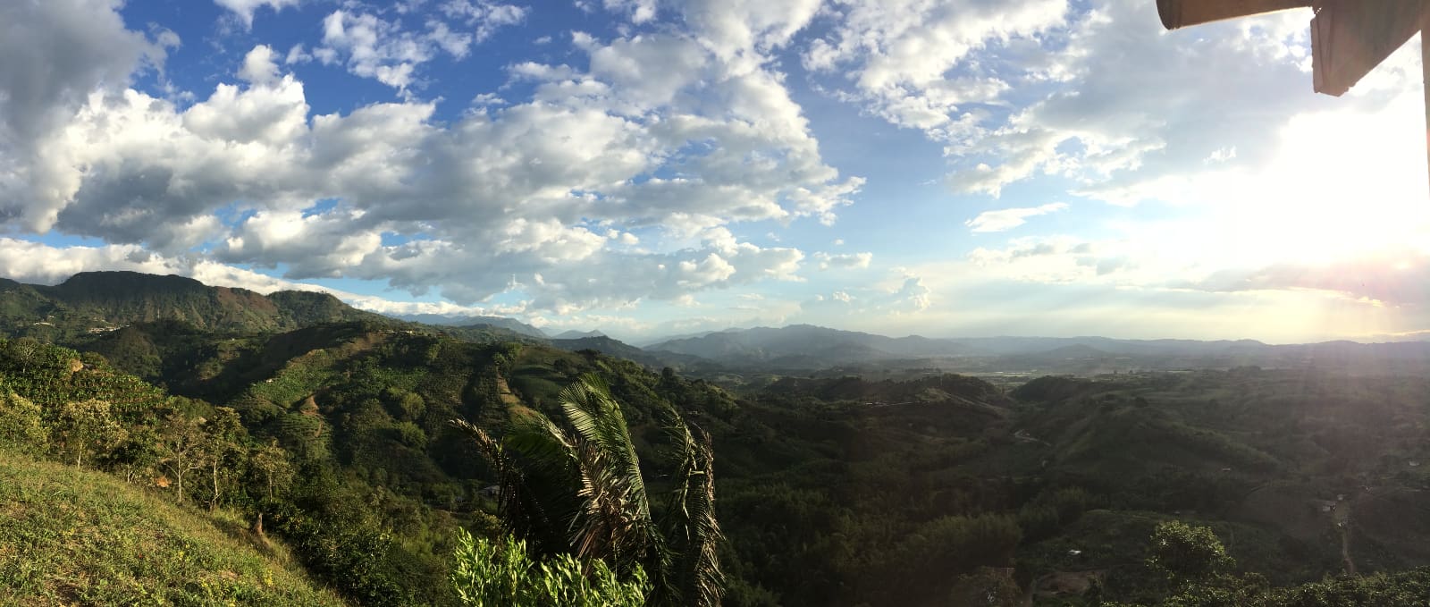 Cauca, Inzá - Atlas Coffee Importers