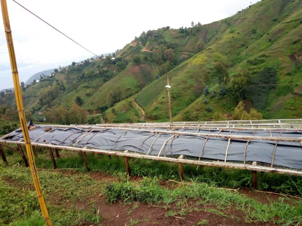 Natural processing, Washing Stations, and Drying Tables: An Interview ...