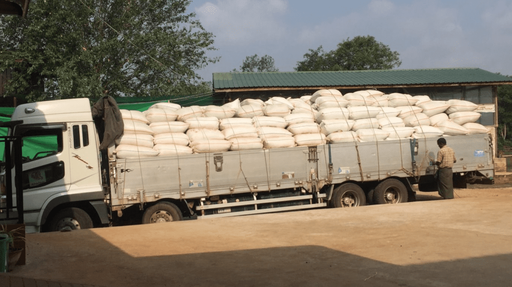 Myanmar Hopong - export - Atlas Coffee Importers