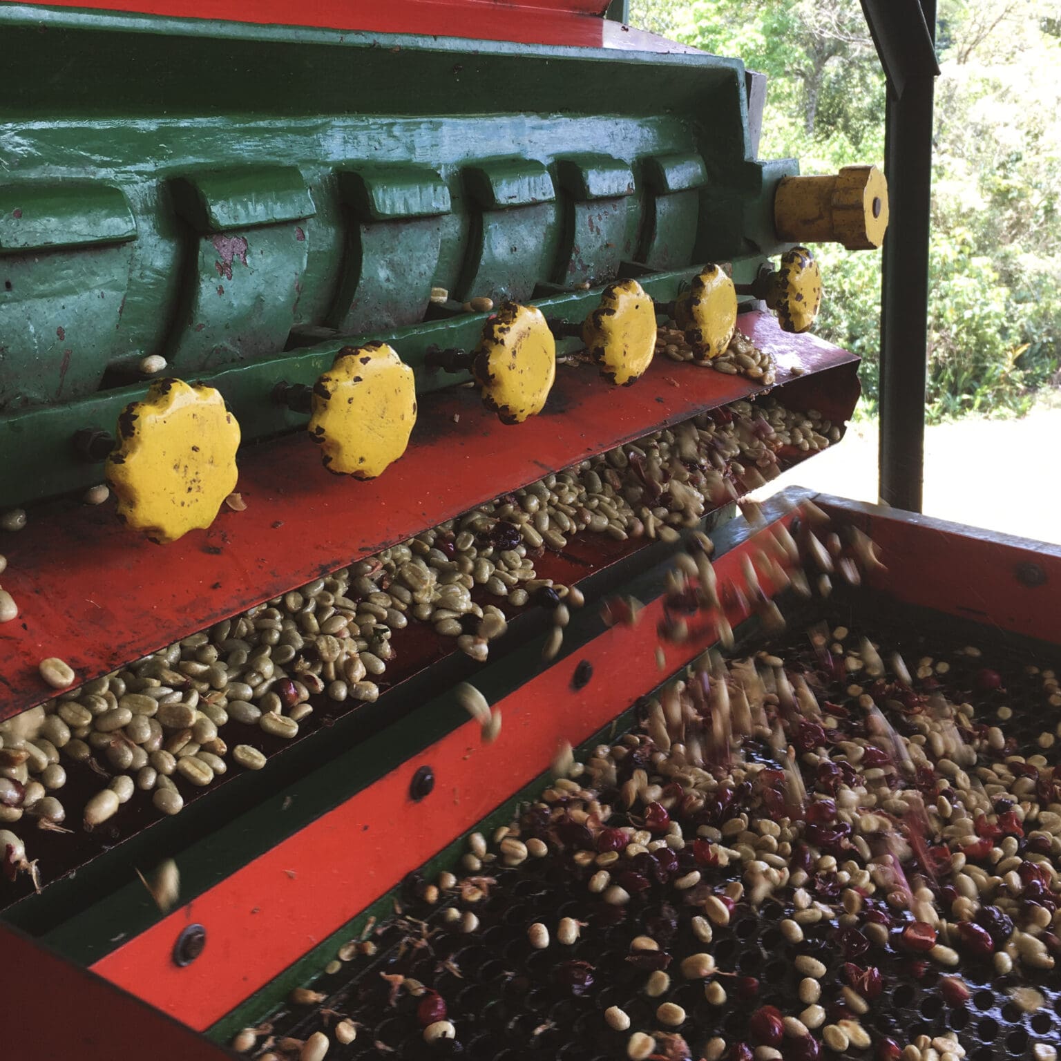 6428 La Bendicion Wet Mill - Atlas Coffee Importers