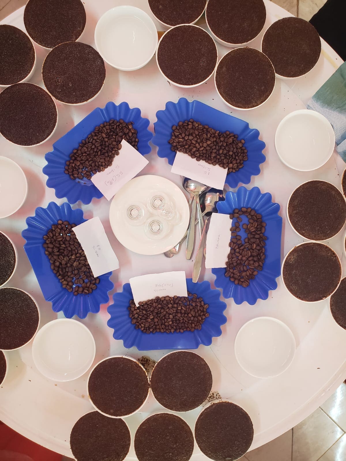 2023 Uganda_ACPCU_Aerial Cupping Table - Atlas Coffee Importers